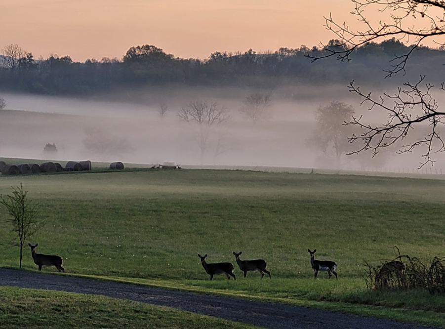As A Man Thinks… | My Front Porch