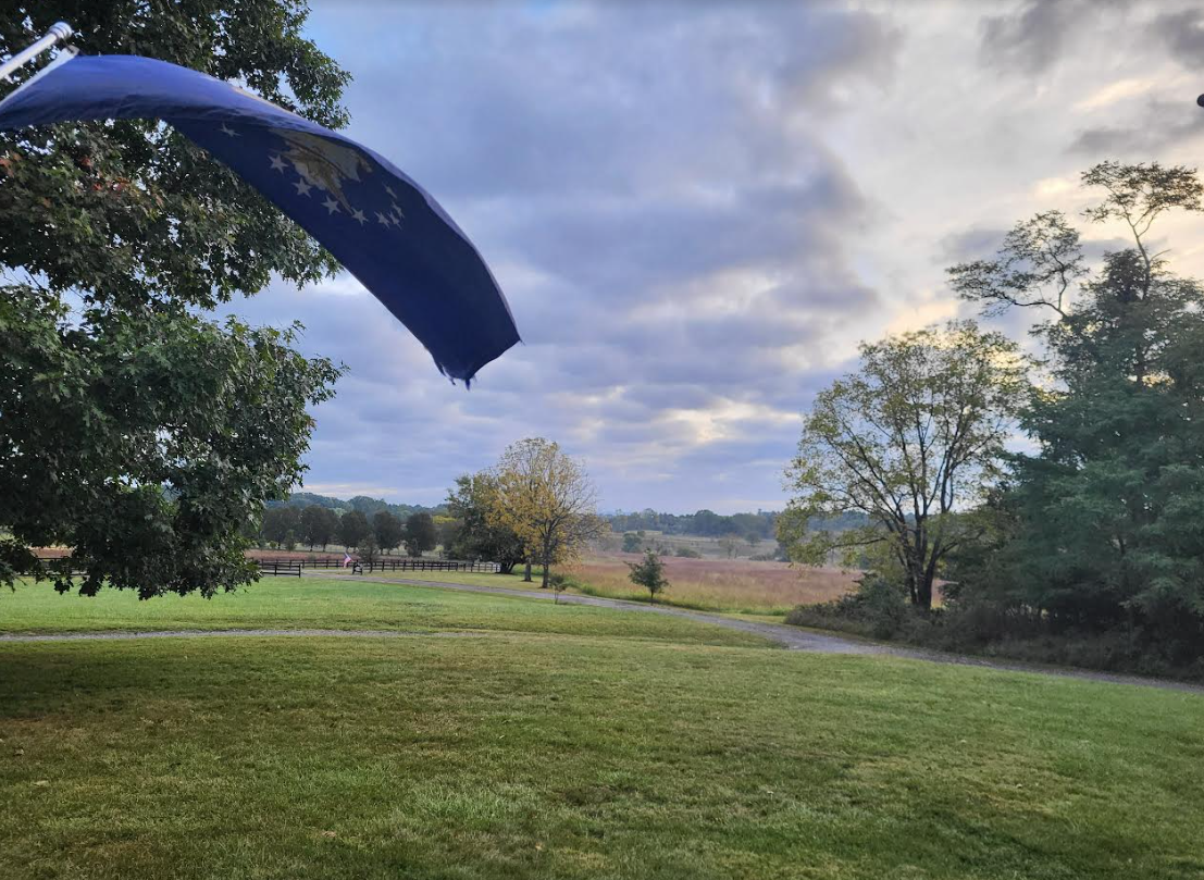 In The Presence Of The Shepherd… | My Front Porch