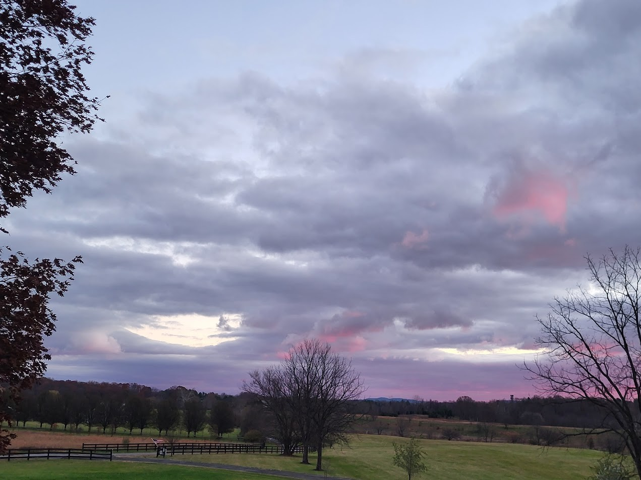 Never Gauge By Quiet and Still… | My Front Porch