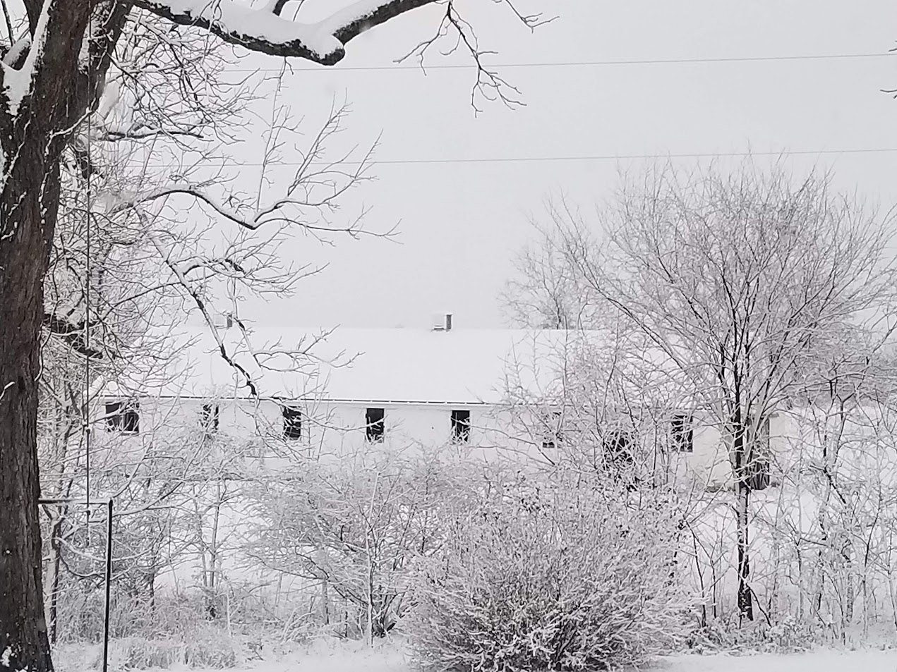 Desperately Looking For Hope… | My Front Porch