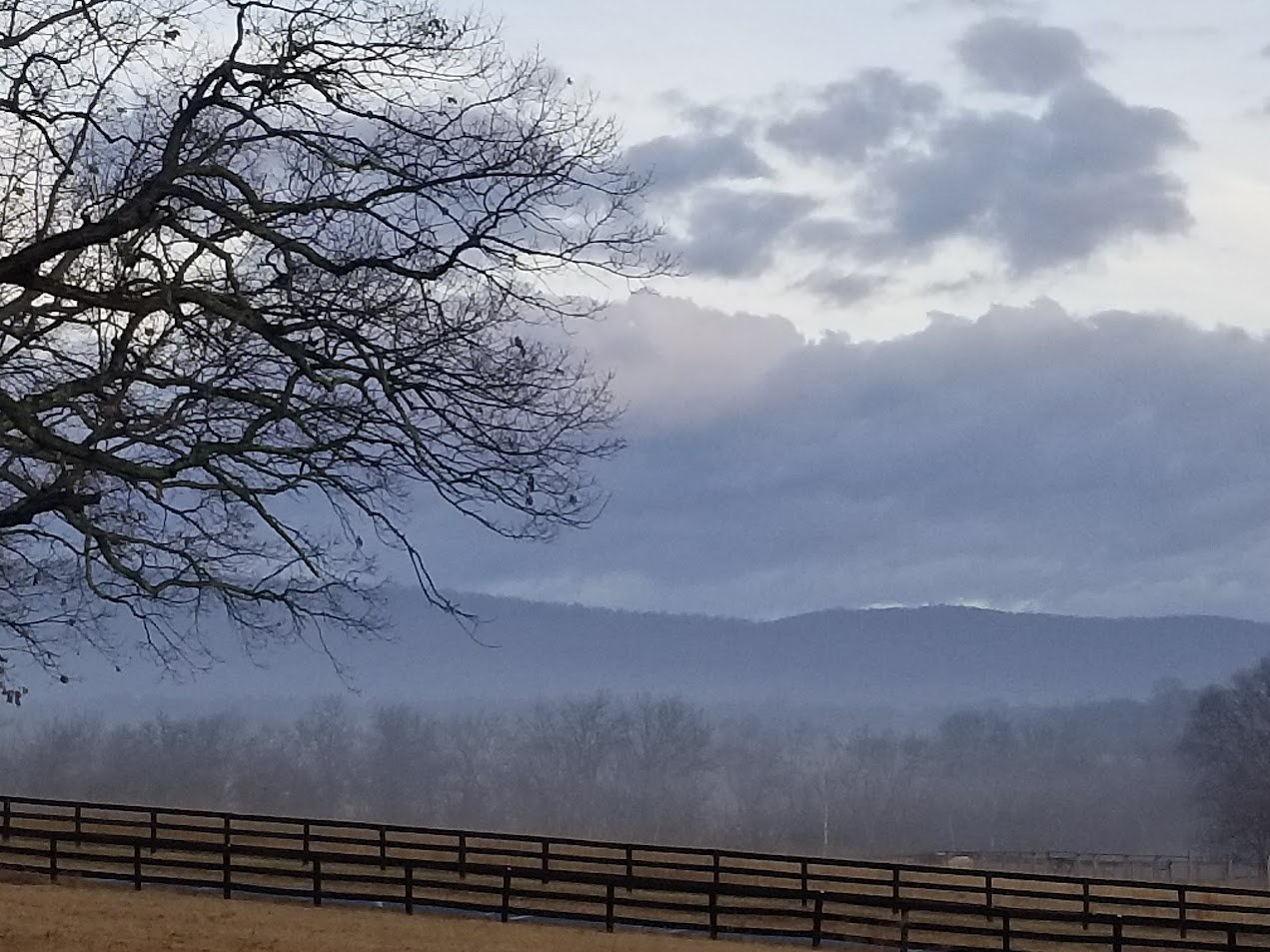 Victory is Mine…Always | My Front Porch