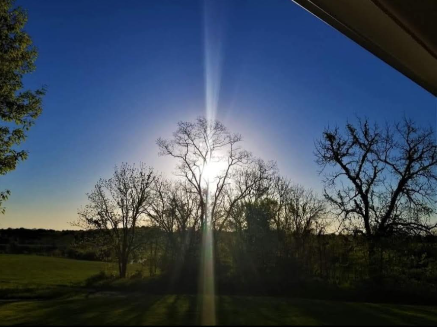 “Go Forth and Multiply!” | My Front Porch